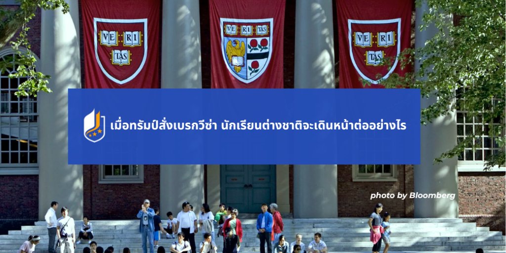 Undergraduate Archives | EduSmith